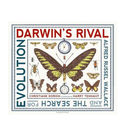 【现货】达尔文的对手阿尔弗雷德拉塞尔华莱士与进化论的探索Darwin's Rival英文儿童绘本人物传记Christiane Dorion平装Walker B