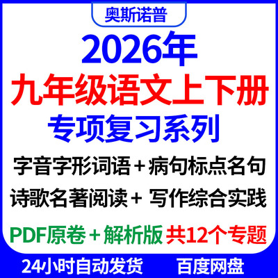 2026年九年级语文上下册专项复习系列字音字形词语阅读PDF电子版