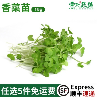 新鲜香菜可食用酒店西餐厅摆盘