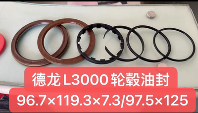 汉德德龙L3000轮毂油封 96.7×119.3x7.3/97.5x 125 免维护氟胶