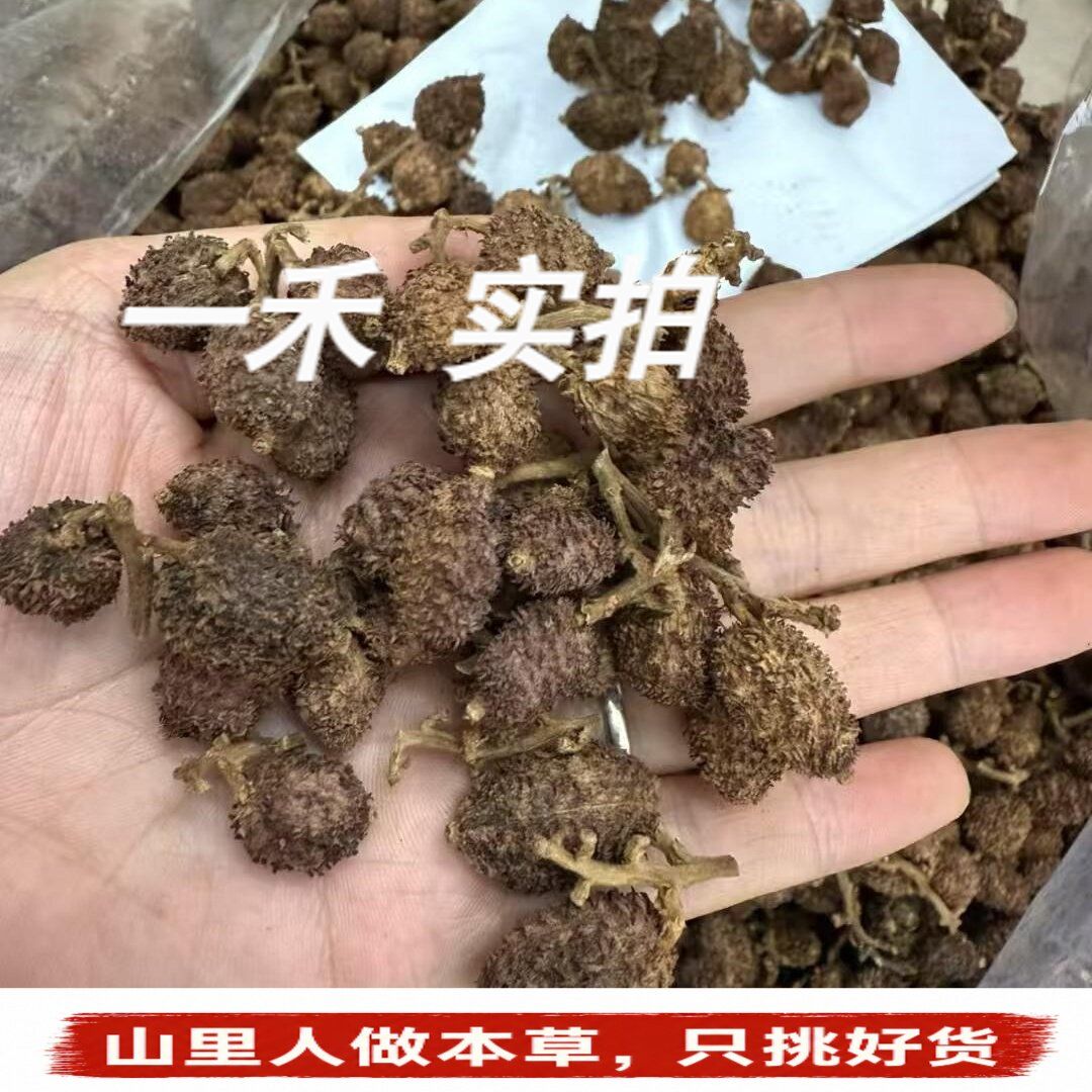正宗阳春砂仁】干果特级无硫春砂仁香砂沙仁煲汤调料手工精选250g
