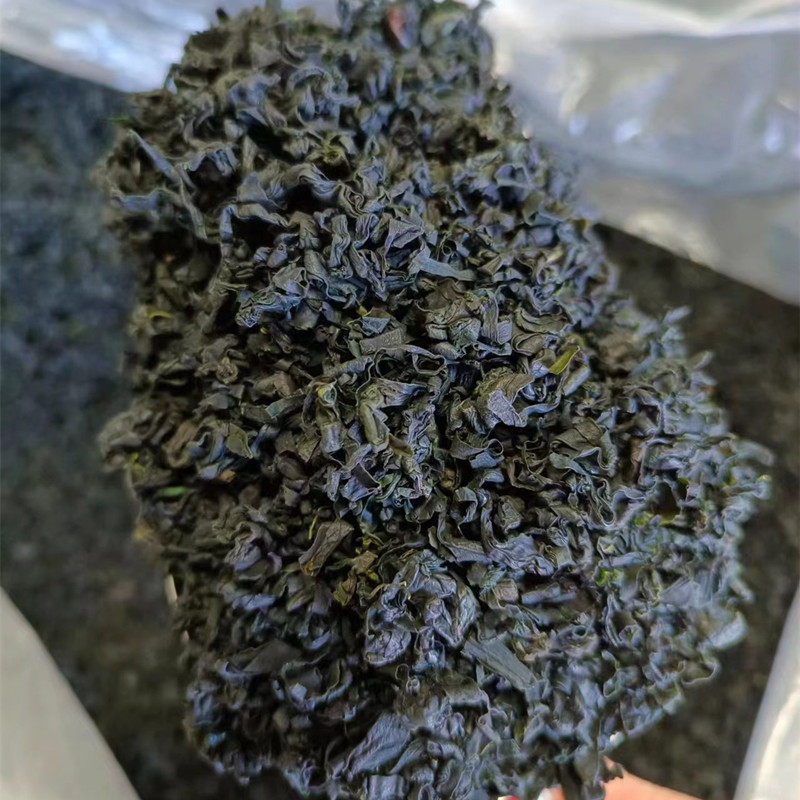 长岛头茬裙带菜海木耳海白菜海带芽螺旋藻干货
