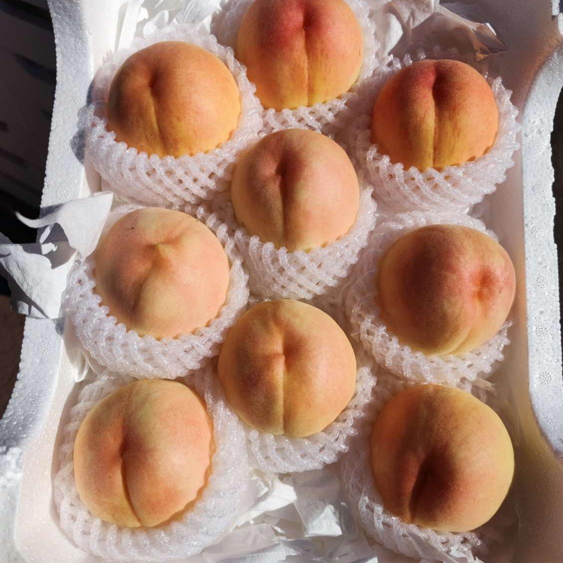 无锡水蜜桃 9粒/箱