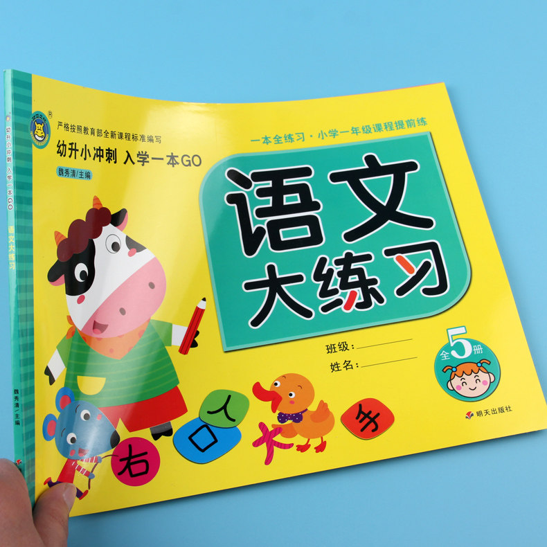 语文大练习练习册测试卷幼小衔接幼升小冲刺入学一本全练习 小学一年级课程提前练3-6岁幼儿园中班大班语言拼音练习本