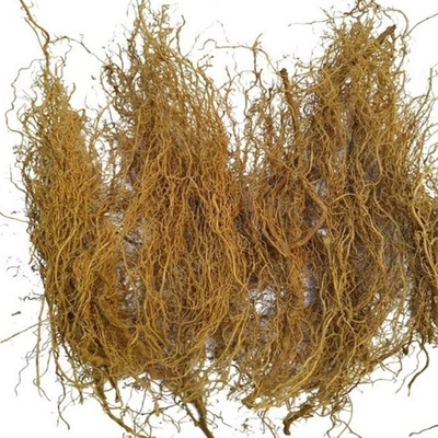 天然八角枫侧须根 白金条 白龙须 八角梧桐根须 干货250g包邮