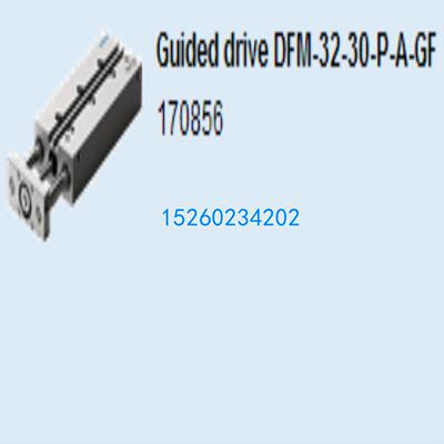 FESTO 费斯托 导向驱动器 DFM-32-30-P-A-GF 170856 全新现货