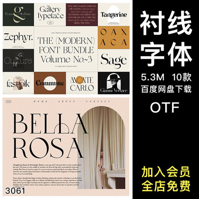 10套经典优雅轻奢酸性衬线杂志海报标题品牌徽标Logo设计英文字体