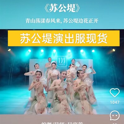 新款苏公堤旗袍舞蹈服演出服表演服中国舞古典舞S练功服成人舞蹈