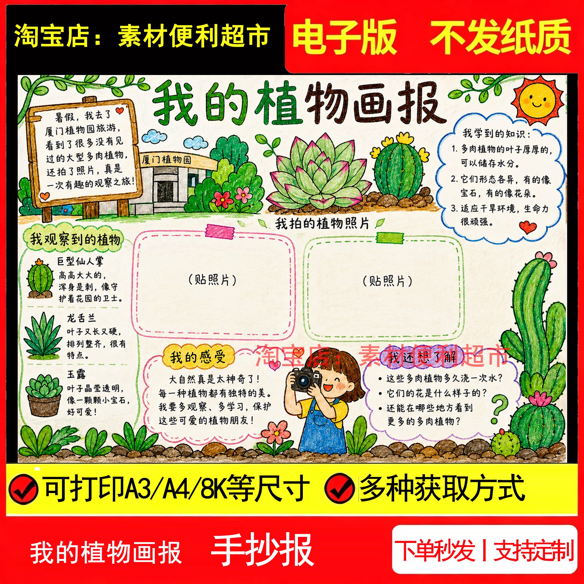 我的植物画报手抄报电子模板自然观察知识感受线稿手绘小报
