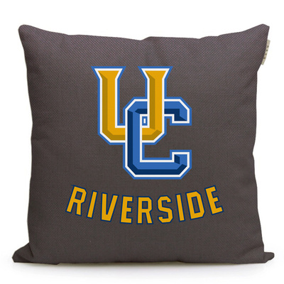 UC Riverside加州大学河滨分校周边定制布艺纪念品抱枕