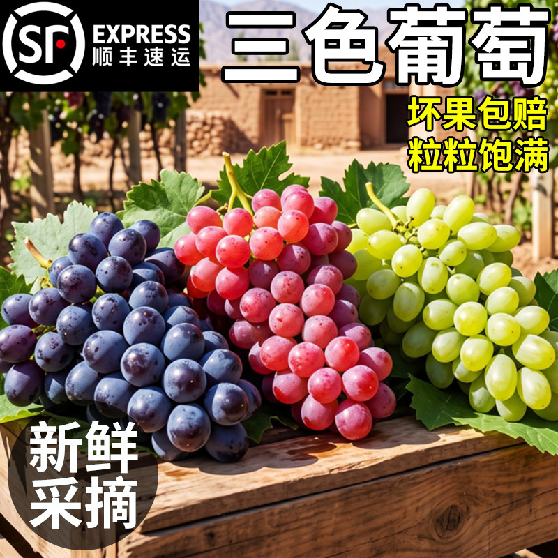 【顺丰】新疆三色葡萄新鲜无核白玻璃脆无核紫混搭水果马奶提子