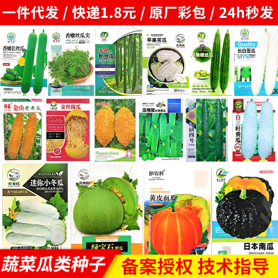 New Collection of Melons and Fruits Seasonal Silk Melon, Bi