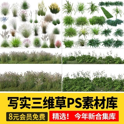 草丛单体素材ps素材单株自然茂密草丛花丛组团高清后期绿植ps配景