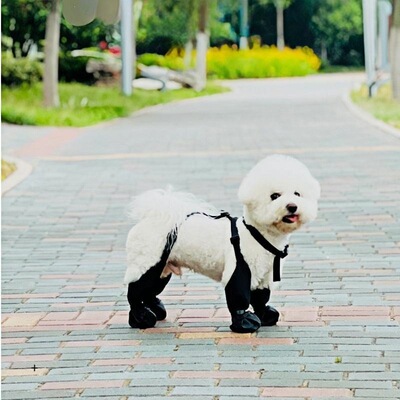 Waterproof AntiSlip Dog Shoes Boots Tpr Rubber Durable