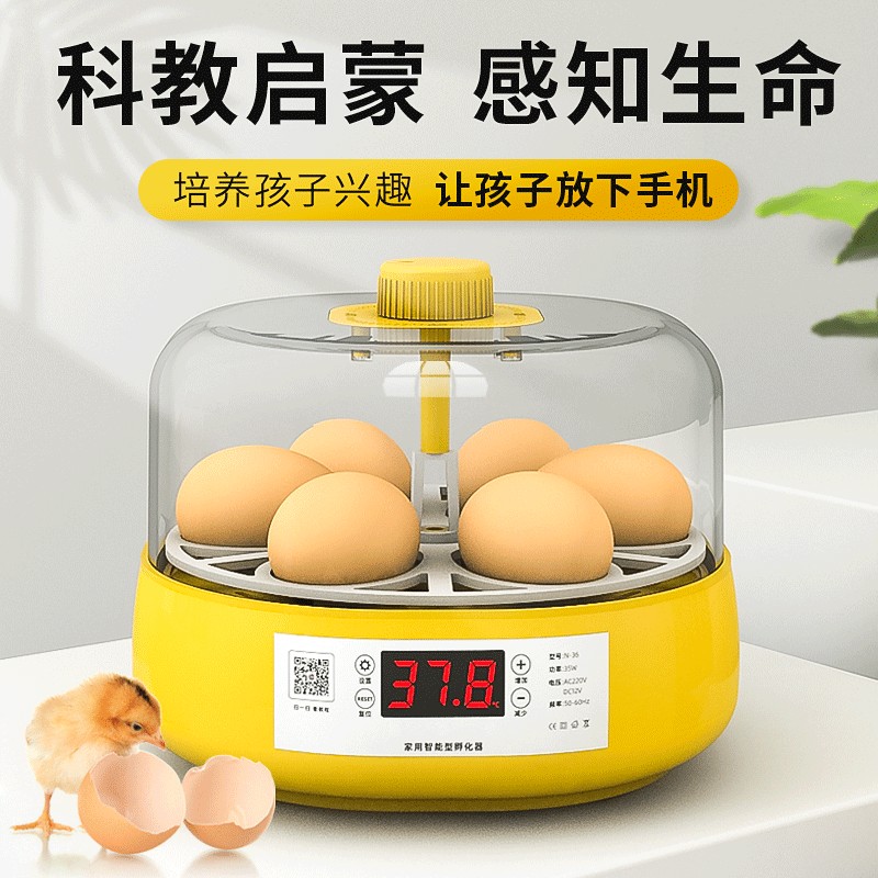 孵化器小型家用全自动智能芦丁鸡鹦鹉鸟蛋孵蛋器水床孵化箱孵化机