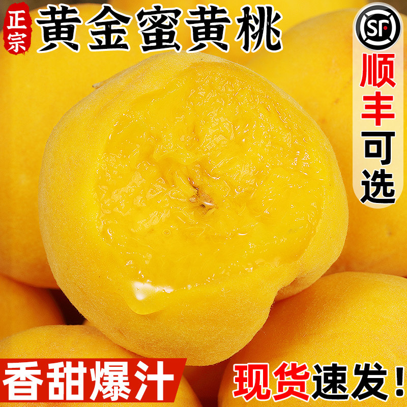 正宗黄金蜜黄桃新鲜毛桃子当季时令水果黄肉蜜桃脆桃大果整箱包邮