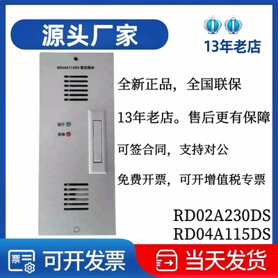 壁挂式直流充电模块器RD04A115DS