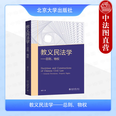 正版 2025新 教义民法学 总则 物权 刘洋 民法总则物权制度教义学阐释 司法解释实务裁判案例分析 法律行为解释 北京大学出版社