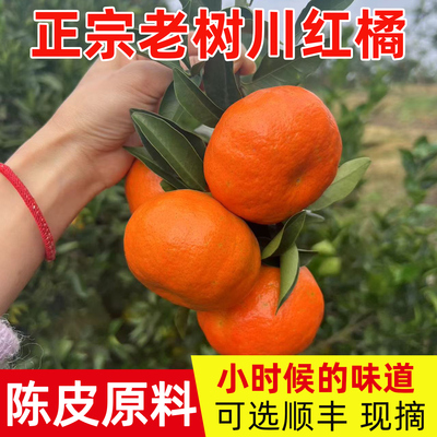 可选顺丰现摘四川红橘立减10元