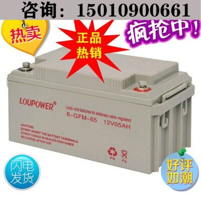Loupower莱力蓄电池6-GFM-65 铅酸免维护 计算机机房应急电瓶