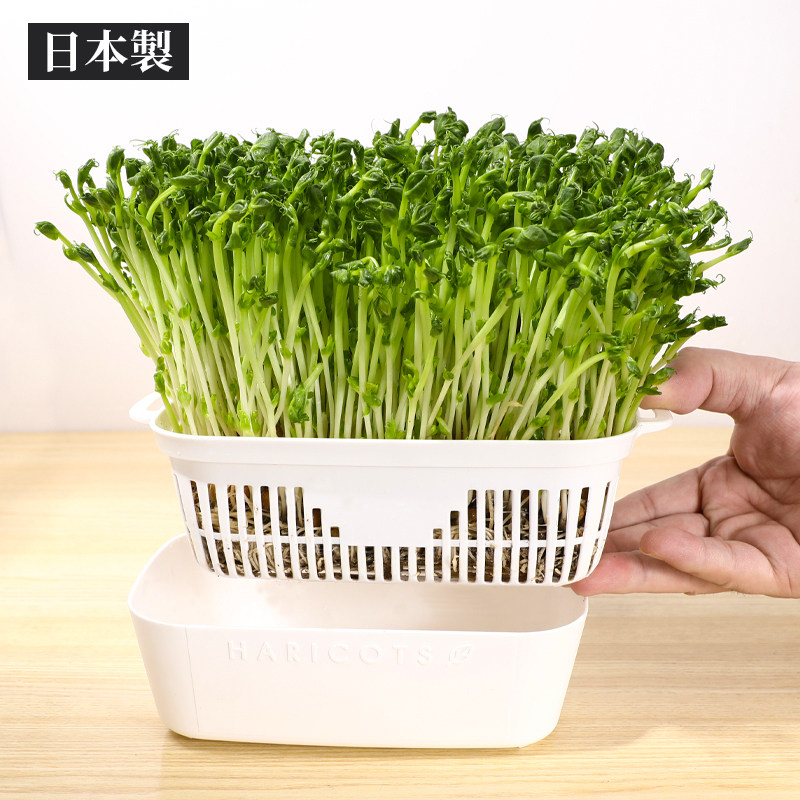 日本进口育苗盘豆苗发芽阳台果蔬种植盆无土水培种植种菜托营养钵