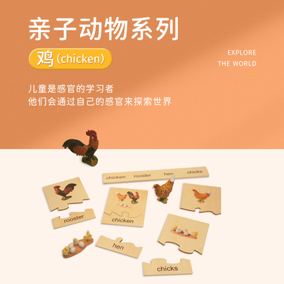 安科纳ancona动物一家 英文 蒙氏早教益智玩具 蒙台梭利教具