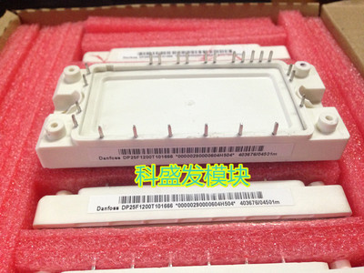 DP25F1200T101666