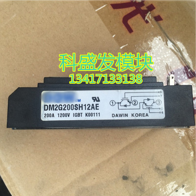 DM2G200SH12AE DM2G300SH12AE DM2G150SH12AE 品质保证 欢迎采购