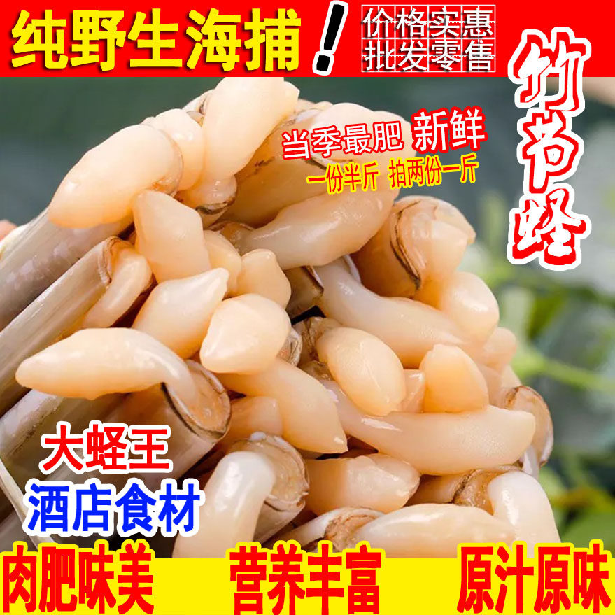 竹节蛏子新鲜大蛏王野生鲜活海泥蛏手指蛏西施舌马刀贝类海鲜水产