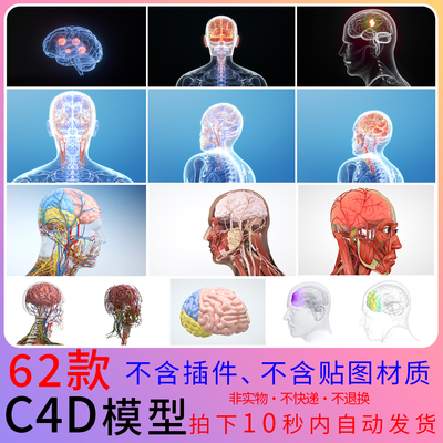 人体医疗大脑C4D工程源文件脑器官结构组织立体模型设计素材C179