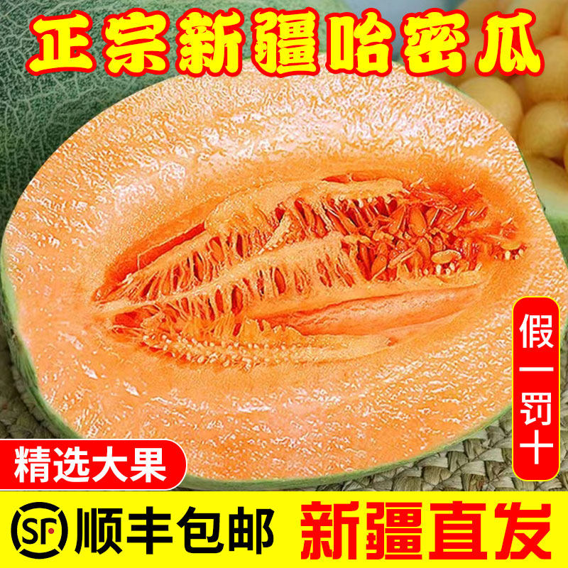 顺丰新疆哈密瓜新鲜水果网纹蜜瓜西州蜜25号吐鲁番冰淇淋整箱包邮