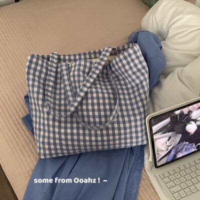 奶蓝格子单肩背款棉布包学生书袋