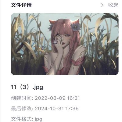 3张阿狸动漫壁纸Mac壁纸ipad壁纸电子壁纸iPhone壁纸 D18