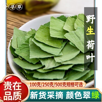 微山湖新鲜荷叶无硫天然方片 荷叶茶荷叶 干荷叶片完整无碎500克g