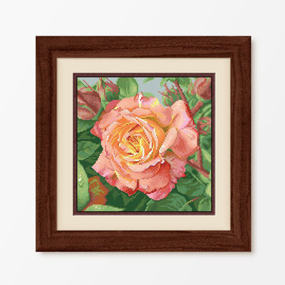 小小鱼DMC线十字绣 B668娇艳玫瑰 盛开的粉色花卉精准印花套件