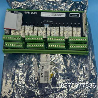 全新SAM BRM 2200数字输出模块，型号：BRM 22议价