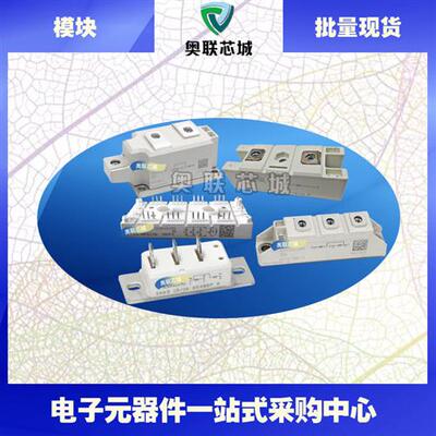 SKM300GBD12T4 SKM300GBD123D1S SKM300GBD128D可控硅