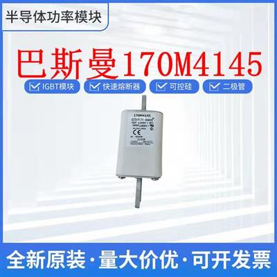 全新巴斯曼 熔断器 170M4144 170M4145 170M4146 170M4147 直发