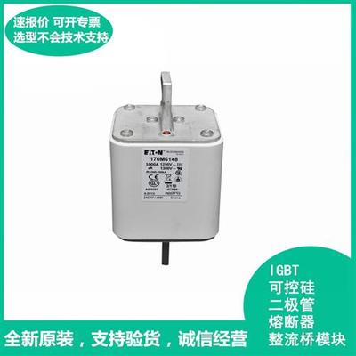 熔断器芯170M4181 170M4182 170M4184 170M4188 170M4189当天发货