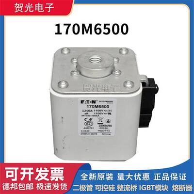 全新原装熔断器170M6497/6498/6499/6500/6501/6644/6645