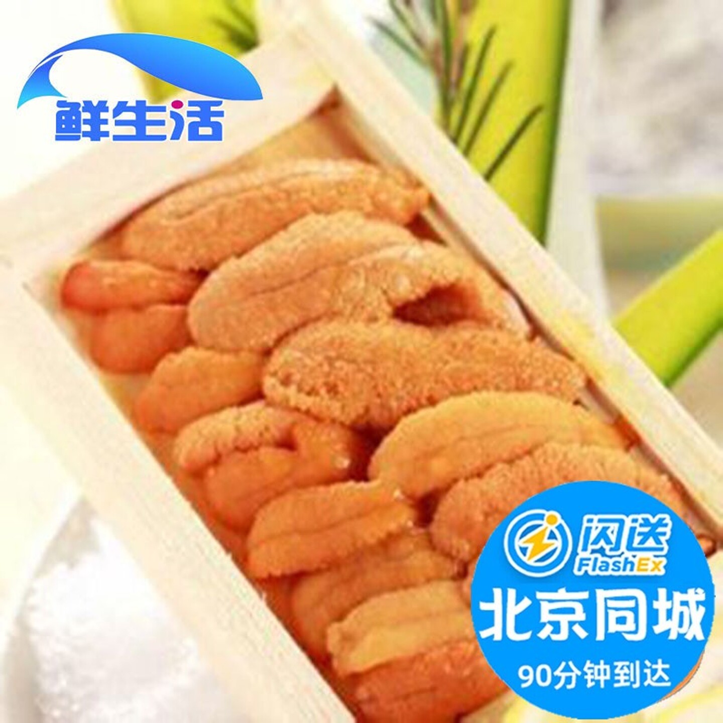 北京闪送 新品 海胆黄 刺身 精美木盒装海胆日韩料理生吃美味