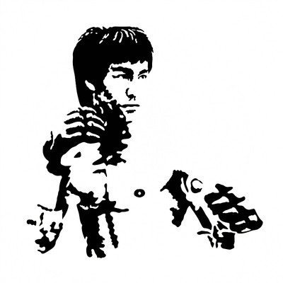 防水功夫巨星截拳道武术汽车贴纸