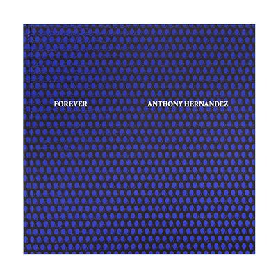 英文原版 Anthony Hernandez Forever 安东尼·埃尔南德斯 永恒 摄影作品集精装 英文版 进口英语原版书籍