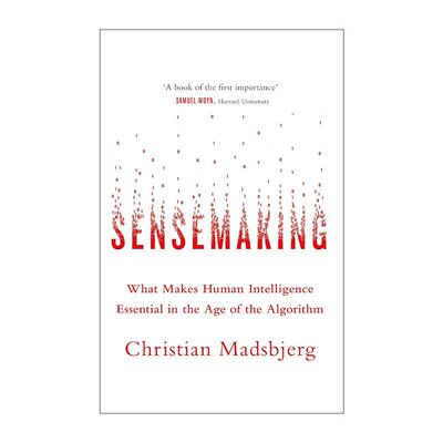 英文原版 Sensemaking 意会 算法时代的人文力量 英文版 进口英语原版书籍