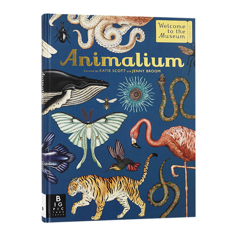 Animalium英文原版欢迎来到博物馆系列动物博物馆青少年英语课外阅读科普读物精装大开本英文版进口原版书籍儿童图书_虎窝淘