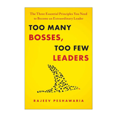 英文原版 Too Many Bosses Too Few Leaders 上司太多 领导者太少 英文版 进口英语原版书籍