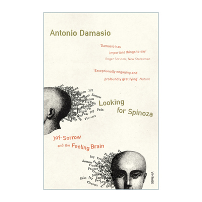英文原版LookingForSpinoza
