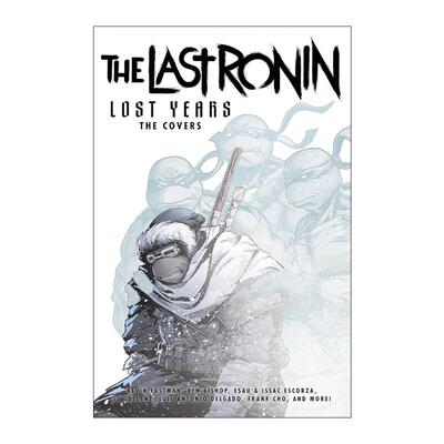 英文原版 Teenage Mutant Ninja Turtles The Last Ronin Lost Years--The Covers 忍者神龟 失落的岁月 封面艺术画集 IDW漫画