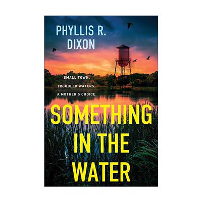 英文原版 Something in the Water 水中之物 女性小说 Phyllis R. Dixon 英文版 进口英语原版书籍