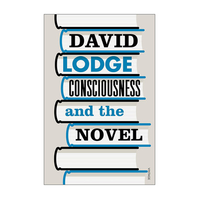 英文原版 Consciousness And The Novel 意识与小说 戴维·洛奇 文学评论集 英文版 进口英语原版书籍